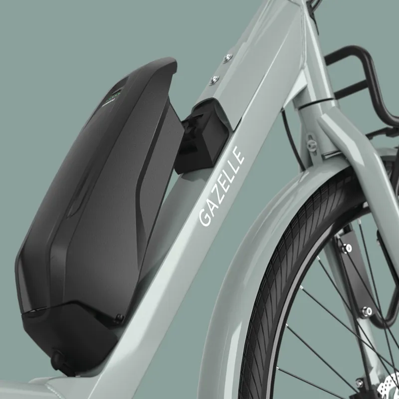 Gazelle-Bloom-C7-Hms-In-Light-Olive